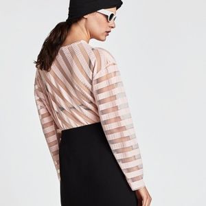 Zara | Tops | Zara Pink Sheer Striped Long Sleeve Blouse | Poshmark